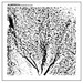 NATO-Uniformen by Alberich (Album, Power Noise): Reviews, Ratings ...