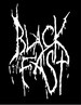 Black Fast Albums: songs, discography, biography, and listening guide ...