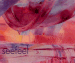 Seefeel Albums: songs, discography, biography, and listening guide ...