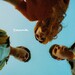 Echosmith Albums: songs, discography, biography, and listening guide ...
