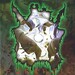 Mortal Decay Albums: songs, discography, biography, and listening guide ...