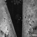 D Savage Albums: songs, discography, biography, and listening guide ...