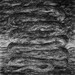 Ash Borer Albums: songs, discography, biography, and listening guide ...