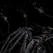 Lotic Albums: songs, discography, biography, and listening guide - Rate ...