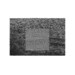 Shade by Grouper (Album, Contemporary Folk): Reviews, Ratings, Credits ...