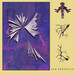 Bríi Albums: songs, discography, biography, and listening guide - Rate ...