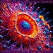 Gluon Exchange Model Simplifies the Internal Structure of Protons and ...