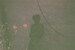 Whitelands Albums: songs, discography, biography, and listening guide ...
