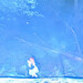 Wisp Albums: songs, discography, biography, and listening guide - Rate ...