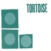 Tortoise Albums: songs, discography, biography, and listening guide ...
