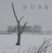Dusk Albums: songs, discography, biography, and listening guide - Rate ...