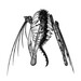 Lotic Albums: songs, discography, biography, and listening guide - Rate ...