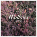 Wallows Albums: songs, discography, biography, and listening guide ...