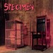 Specimen Albums: songs, discography, biography, and listening guide ...