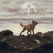 Coyote Theory Albums: songs, discography, biography, and listening ...