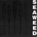 Seaweed Albums: songs, discography, biography, and listening guide ...