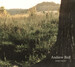 Andrew Bird Albums: songs, discography, biography, and listening guide ...