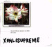 Xinlisupreme Albums: songs, discography, biography, and listening guide ...
