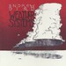 Andrew Bird Albums: songs, discography, biography, and listening guide ...