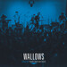 Wallows Albums: songs, discography, biography, and listening guide ...
