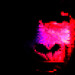Metro Zu Albums: songs, discography, biography, and listening guide ...