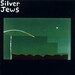 Silver Jews Albums: songs, discography, biography, and listening guide ...