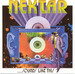 Nektar Albums: songs, discography, biography, and listening guide ...