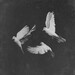 Lunch Money by Pusha T (Single, Experimental Hip Hop): Reviews, Ratings ...