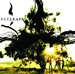 Flyleaf Albums: songs, discography, biography, and listening guide ...