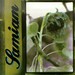 Samiam Albums: songs, discography, biography, and listening guide ...