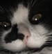 Review for Feet Always Cold - Joey Duran by scufu - Rate Your Music