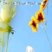 Double Virgo Albums: songs, discography, biography, and listening guide ...
