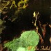 Zao Albums: songs, discography, biography, and listening guide - Rate ...