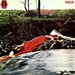 Spring Albums: songs, discography, biography, and listening guide ...