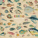 Cosmo Sheldrake Albums: songs, discography, biography, and listening ...