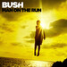 Bush Albums: songs, discography, biography, and listening guide - Rate ...