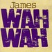 James Albums: songs, discography, biography, and listening guide - Rate ...