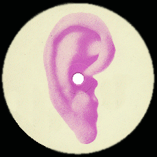 Ohr - Music label - Rate Your Music