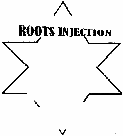 Roots Injection - Music label - Rate Your Music