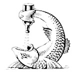 Drunken Fish Records - Music label - Rate Your Music