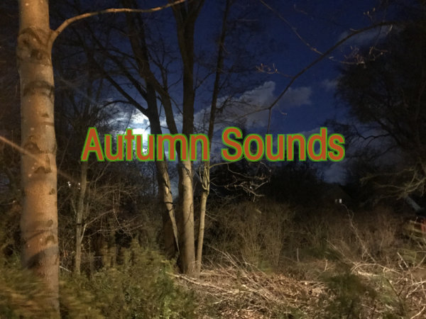 Autumn Sounds - Music label - Rate Your Music