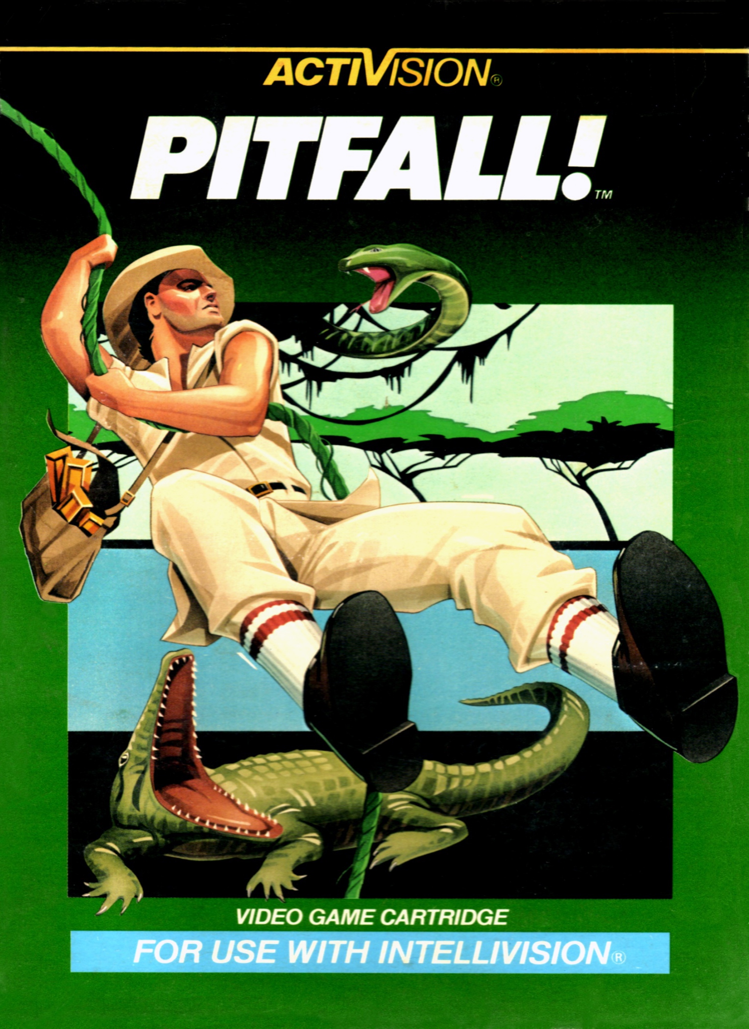 Pitfall video game store