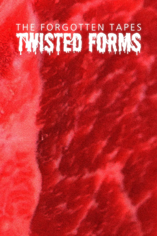 The Forgotten Tapes: Twisted Forms (video game, horror) reviews ...