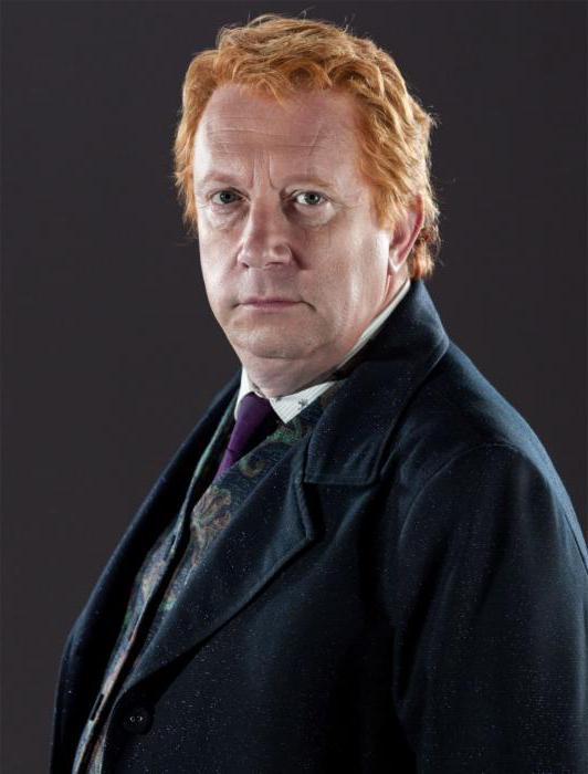 Arthur Weasley (character) - Glitchwave video games database