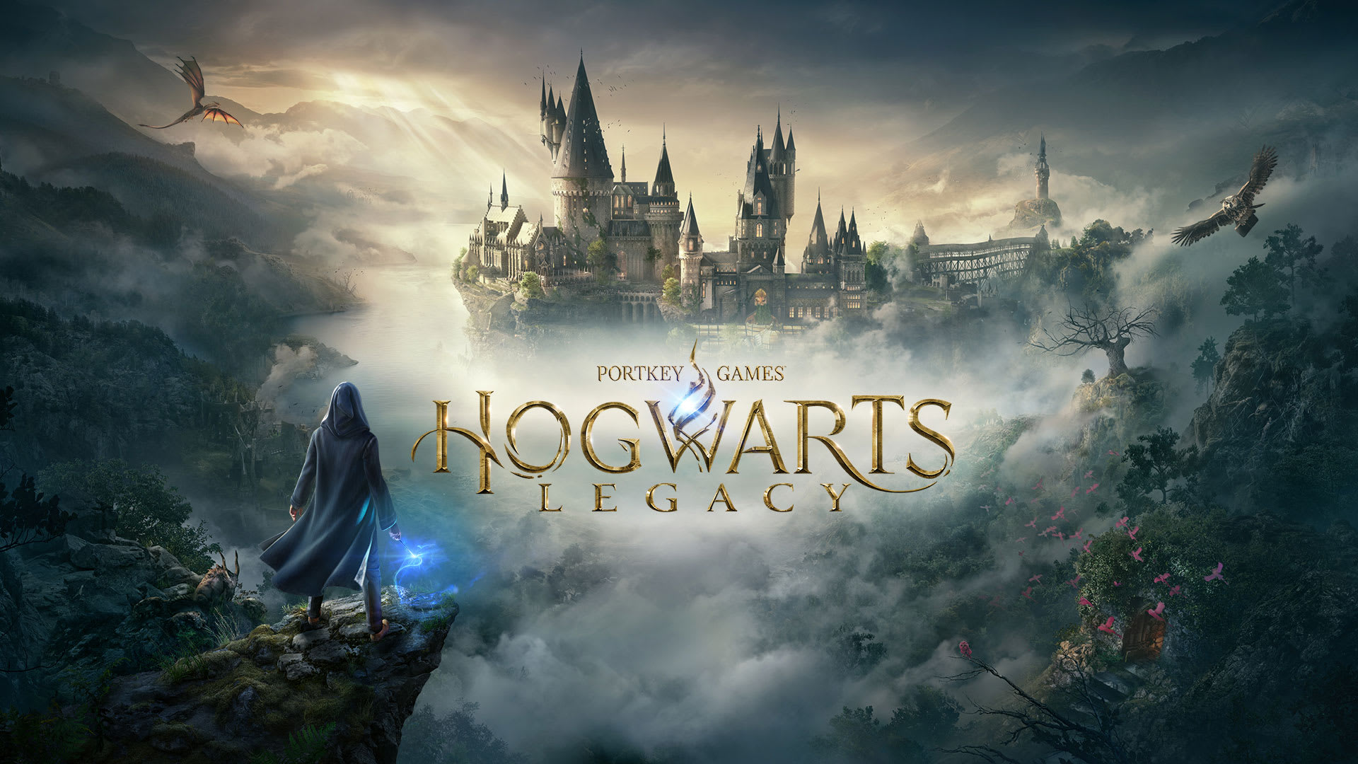 Hogwarts Legacy (video game, Switch, 2023) reviews & ratings - Glitchwave video games database