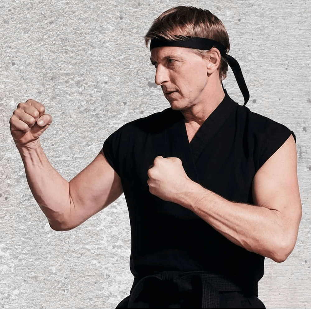 Johnny Lawrence (character) - Glitchwave video games database