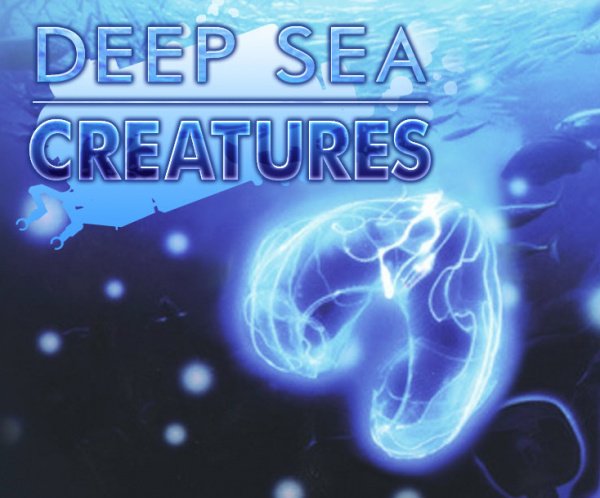 Deep Sea Creatures (video game, virtual pet, aquatic) reviews & ratings ...