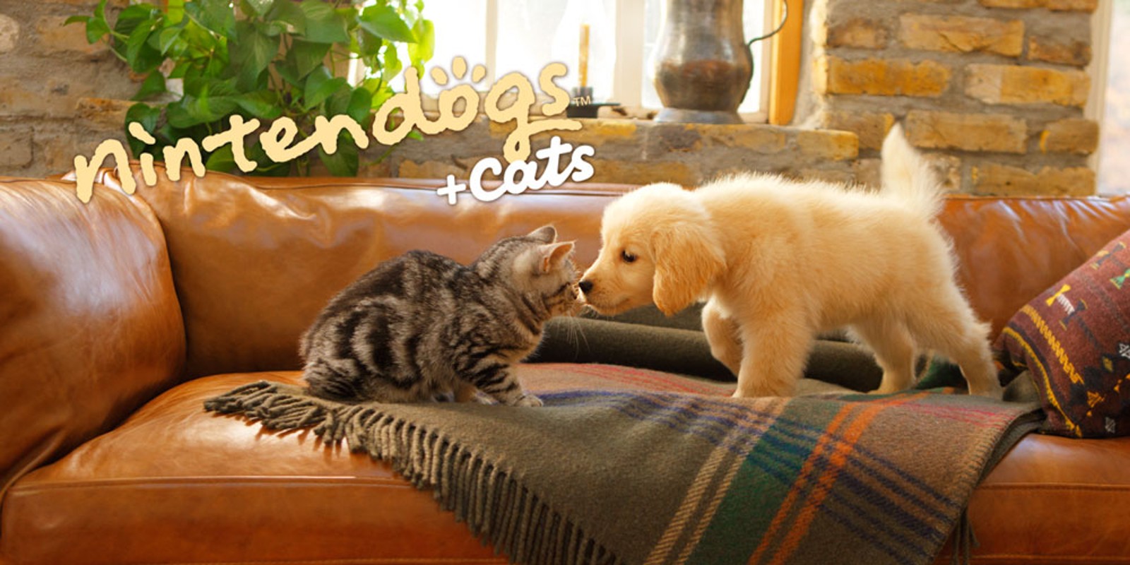 Nintendogs + Cats (video game, cats, dogs, virtual pet, real-time clock) reviews & ratings ...